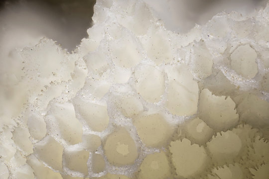 Micro-Macro Images – Browse 21 Stock Photos, Vectors, and Video | Adobe ...