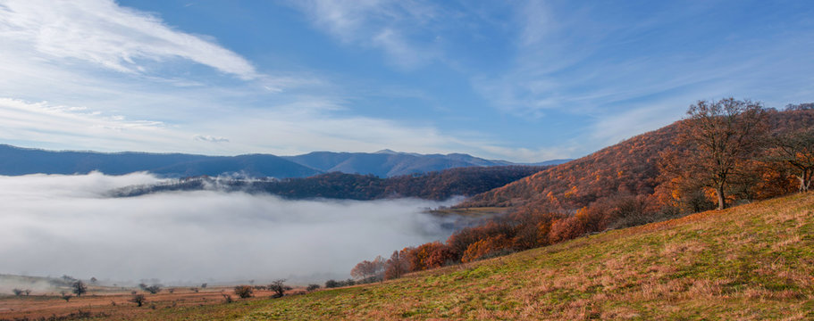 Valisoara - Images et vidéos libres de droits | Adobe Stock