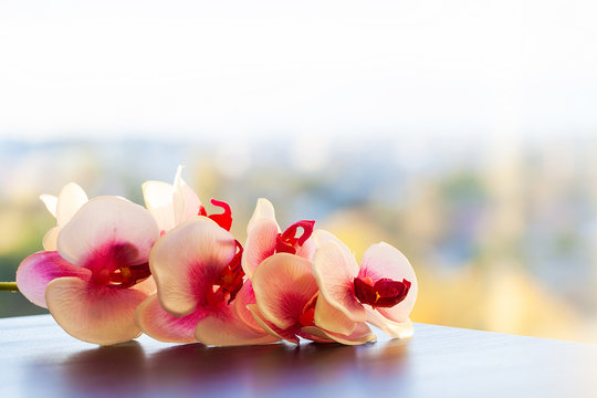 Ledge Images – Browse 1,164,323 Stock Photos, Vectors, and Video ...