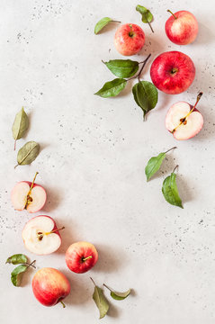 dolphy_tv photos, images, assets | Adobe Stock