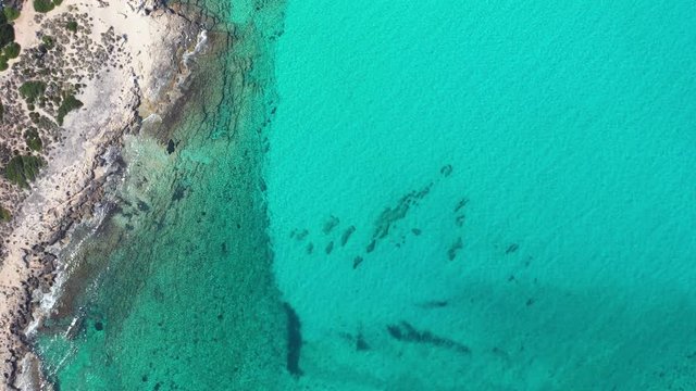 Corycus bilder – Bläddra bland 1,216 stockfoton, vektorer och videor ...