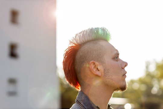 Mohawk Side View