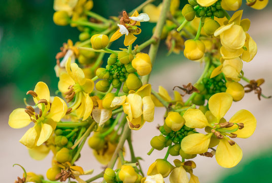 「Anthraquinone」の画像 - 166 件の Stock 写真、ベクターおよびビデオ | Adobe Stock