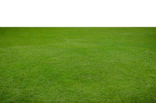 Free Grass Images – Browse 28,342 Free Stock Photos, Vectors, and Video ...