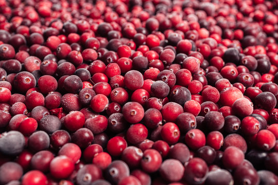 รูปภาพFoxberry – เลือกดูภาพถ่ายสต็อก เวกเตอร์ และวิดีโอ53,865 | Adobe Stock