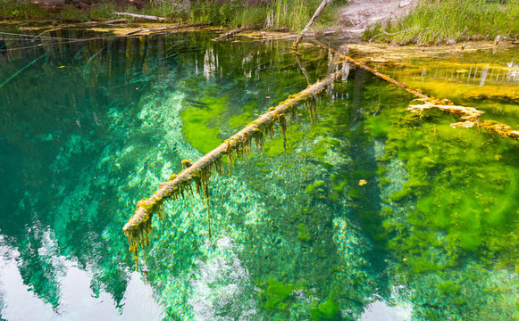 Kitch-Iti-Kipi 影像 – 瀏覽 130 個素材庫相片、向量圖和影片 | Adobe Stock