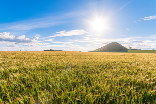 Gerstenfeld Bilder – Durchsuchen 254,030 Archivfotos, Vektorgrafiken ...