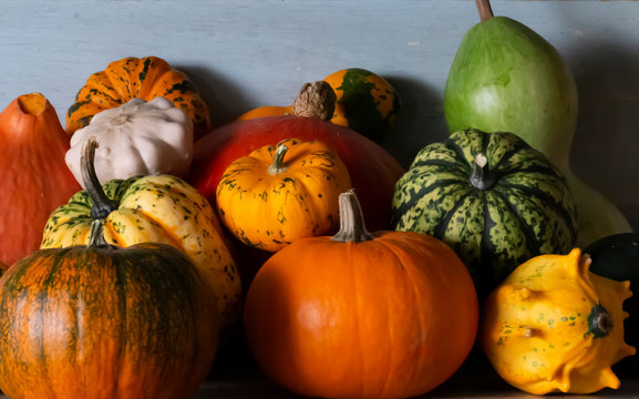 Coloquintes Imagens – Procure 496 fotos, vetores e vídeos | Adobe Stock