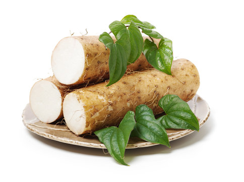 Madumbi Images – Browse 26,215 Stock Photos, Vectors, and Video | Adobe ...