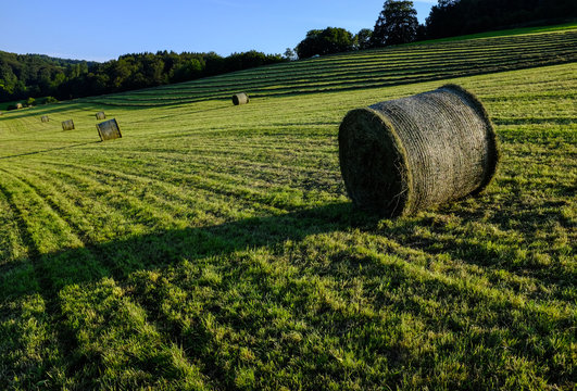 Weidewirtschaft Imagens – Procure 578 fotos, vetores e vídeos | Adobe Stock