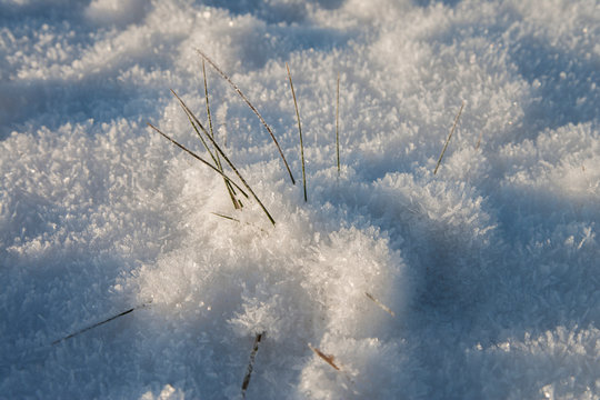 Sneg Images – Browse 203 Stock Photos, Vectors, and Video | Adobe Stock