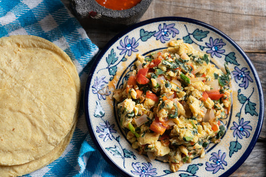 Chaya Bilder – Durchsuchen 1,009 Archivfotos, Vektorgrafiken und Videos ...