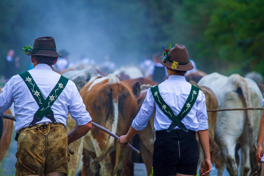 Hirtenstock Bilder – Durchsuchen 774 Archivfotos, Vektorgrafiken und ...