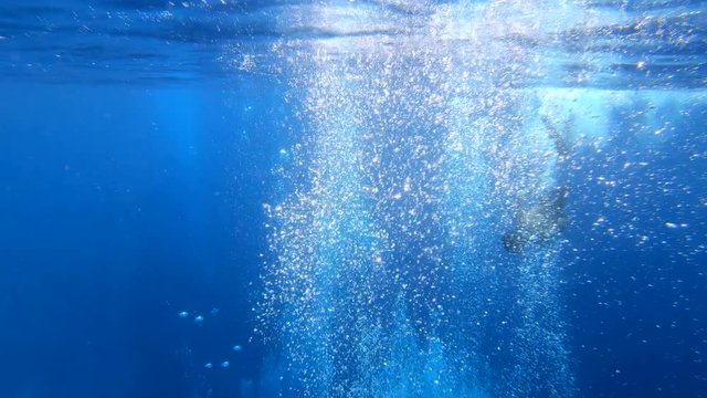 รูปภาพBoobles – เลือกดูภาพถ่ายสต็อก เวกเตอร์ และวิดีโอ400 | Adobe Stock