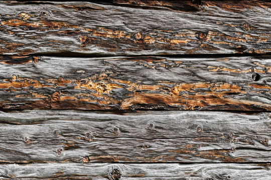 Knur Bilder – Durchsuchen 239 Archivfotos, Vektorgrafiken und Videos ...