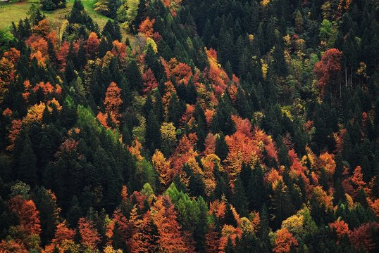 Caduc Bilder – Durchsuchen 249 Archivfotos, Vektorgrafiken und Videos ...