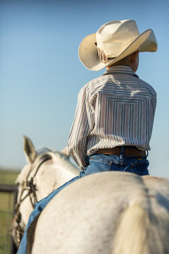 Westernpferd Bilder – Durchsuchen 65,037 Archivfotos, Vektorgrafiken ...