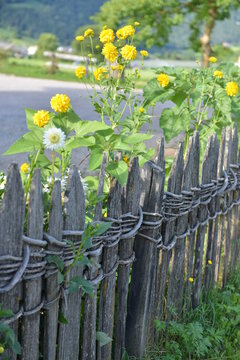 Steccato Images – Browse 4,868 Stock Photos, Vectors, and Video | Adobe ...