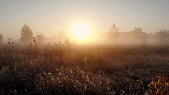 Sun Video Footage – Browse 7,218 HD Stock Video and Footage | Adobe Stock