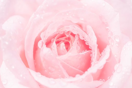 Ivrin photos, images, assets | Adobe Stock