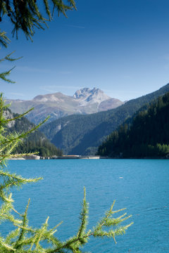 Adula Bilder – Durchsuchen 70 Archivfotos, Vektorgrafiken und Videos ...