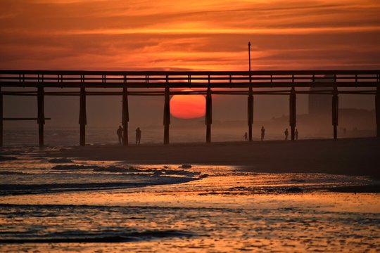 Oib Images – Browse 106 Stock Photos, Vectors, and Video | Adobe Stock