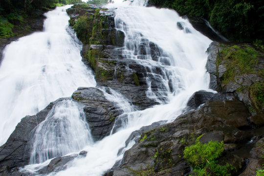 Charpa Imagens – Procure 6 fotos, vetores e vídeos | Adobe Stock