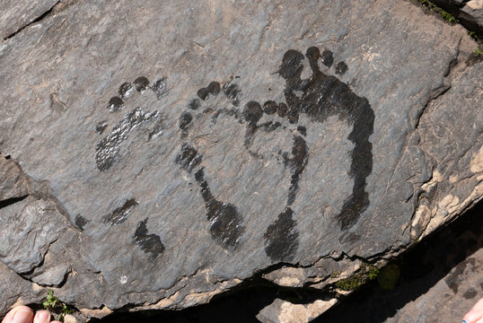 Footprints On Rock Images – Browse 32,242 Stock Photos, Vectors, and ...