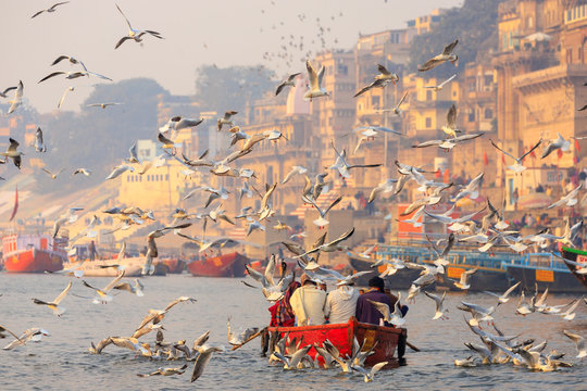 รูปภาพVaranasi – เลือกดูภาพถ่ายสต็อก เวกเตอร์ และวิดีโอ20,192 | Adobe Stock