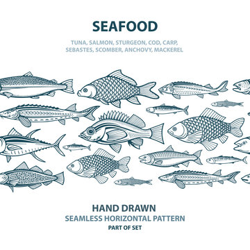 Free Fish Images – Browse 14,707 Free Stock Photos, Vectors, and Video ...