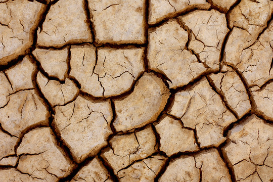 Rachado Images – Browse 84 Stock Photos, Vectors, and Video | Adobe Stock