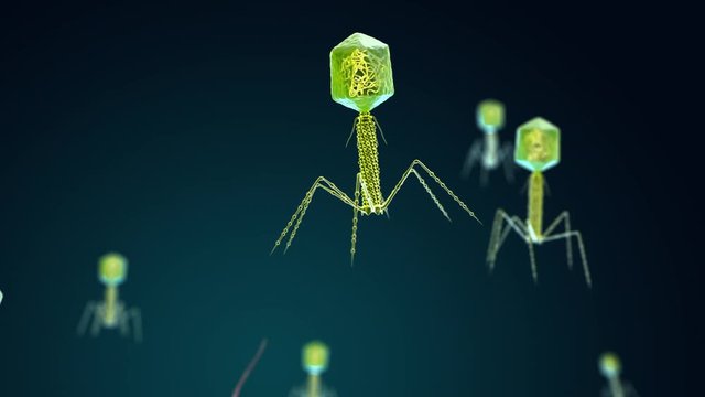 Bacteriophage Images – Browse 3,908 Stock Photos, Vectors, and Video ...
