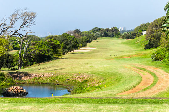 Pinetown Images – Browse 46 Stock Photos, Vectors, and Video | Adobe Stock