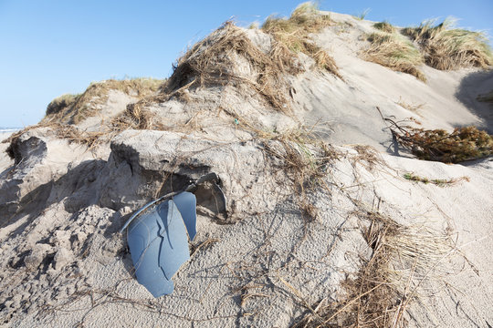 รูปภาพVerwesung – เลือกดูภาพถ่ายสต็อก เวกเตอร์ และวิดีโอ735 | Adobe Stock