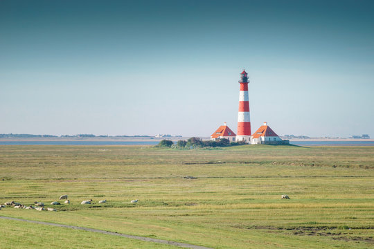 DIE 811 BESTEN BILDER, STOCK-FOTOS UND -VEKTORGRAFIKEN ZU „Warft ...