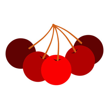 "Bunch Of Cherries" Images – Browse 147 Stock Photos, Vectors, and ...