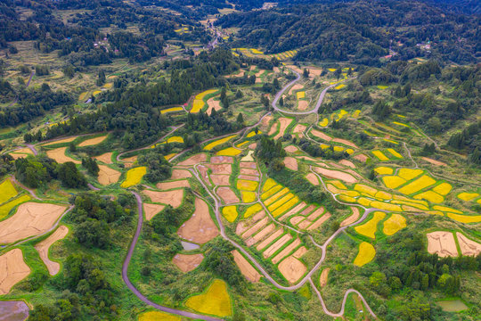 Tokamachi Images – Browse 63 Stock Photos, Vectors, and Video | Adobe Stock