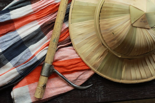 Mahoot Images – Browse 26 Stock Photos, Vectors, and Video | Adobe Stock