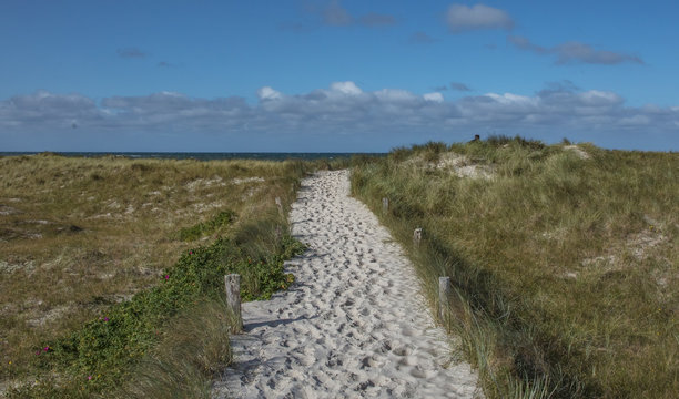 Meerr Images – Browse 19 Stock Photos, Vectors, and Video | Adobe Stock