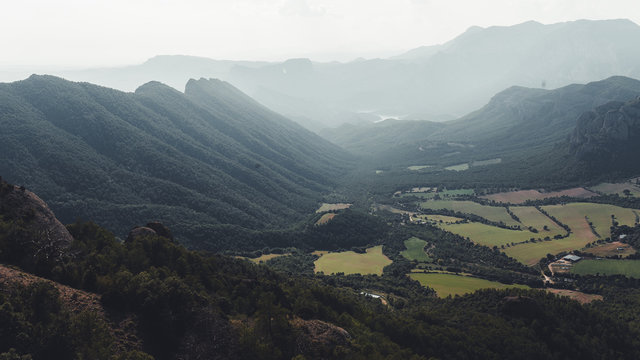 Turp 画像 - 参照 384 Stock 写真、ベクターおよびビデオ | Adobe Stock