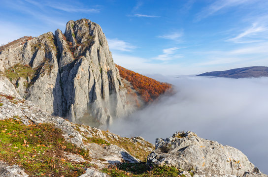 Valisoara-Bilder: Stock-Fotos & -Videos. | Adobe Stock