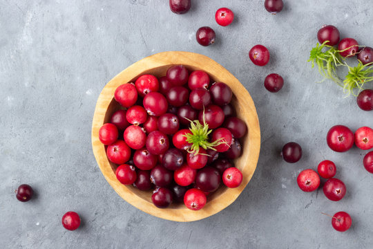 รูปภาพMooseberry – เลือกดูภาพถ่ายสต็อก เวกเตอร์ และวิดีโอ2,682 | Adobe ...