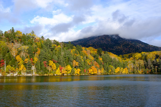 Fafo photos, images, assets | Adobe Stock