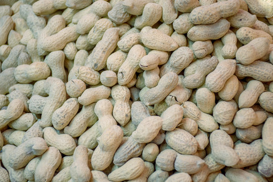 รูปภาพCacahuate – เลือกดูภาพถ่ายสต็อก เวกเตอร์ และวิดีโอ987 | Adobe Stock