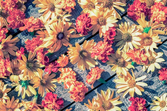 Tumblr Flower Pattern Wallpaper