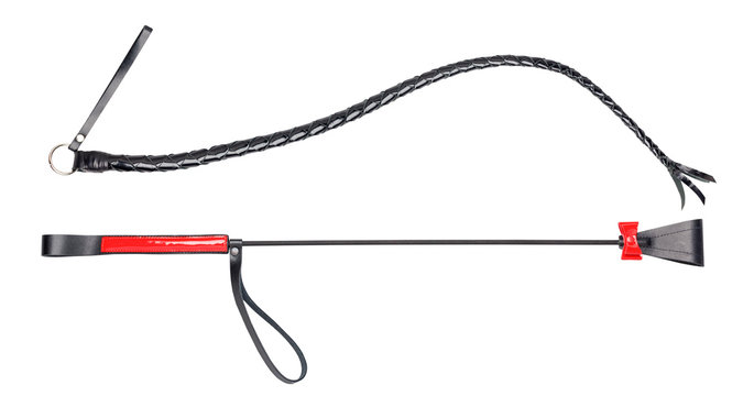 Bull Whip Vector