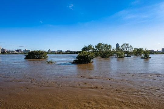 戸田市 Images – Browse 367 Stock Photos, Vectors, and Video | Adobe Stock