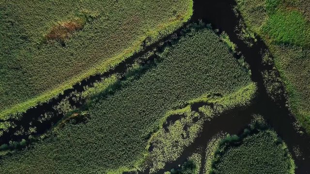 "Pripyat River" Imagens – Procure 115 fotos, vetores e vídeos | Adobe Stock