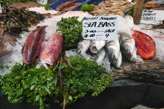 Robster-Bilder: Stock-Fotos & -Videos. | Adobe Stock