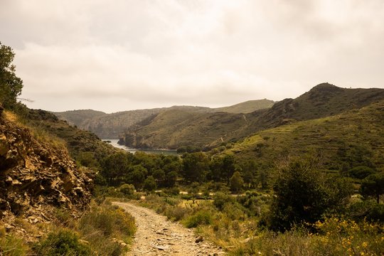 Rocailleux bilder – Bläddra bland 1,144 stockfoton, vektorer och videor ...